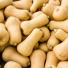 What Does Butternut Squash Taste Like? - Simple And Savory
