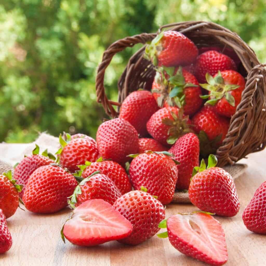 What Does A Strawberry Taste Like? Plus Tips for How To Select, Store ...
