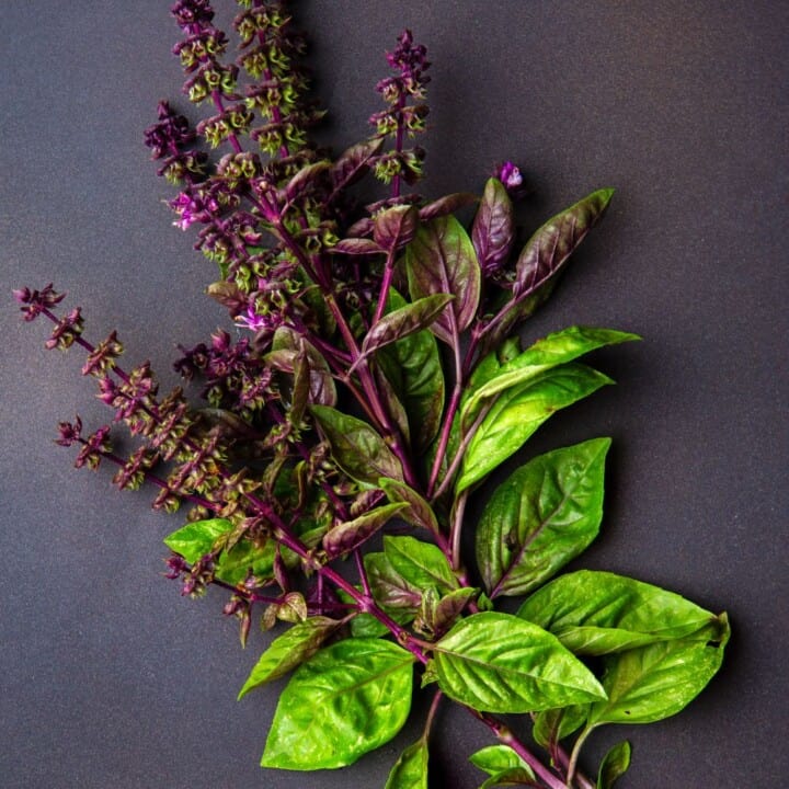 What Does Basil Taste Like? And How to Use it - Simple And Savory