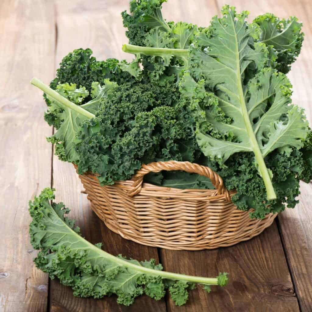 What Does Kale Taste Like? Plus Tasty Kale Recipes - Simple And Savory