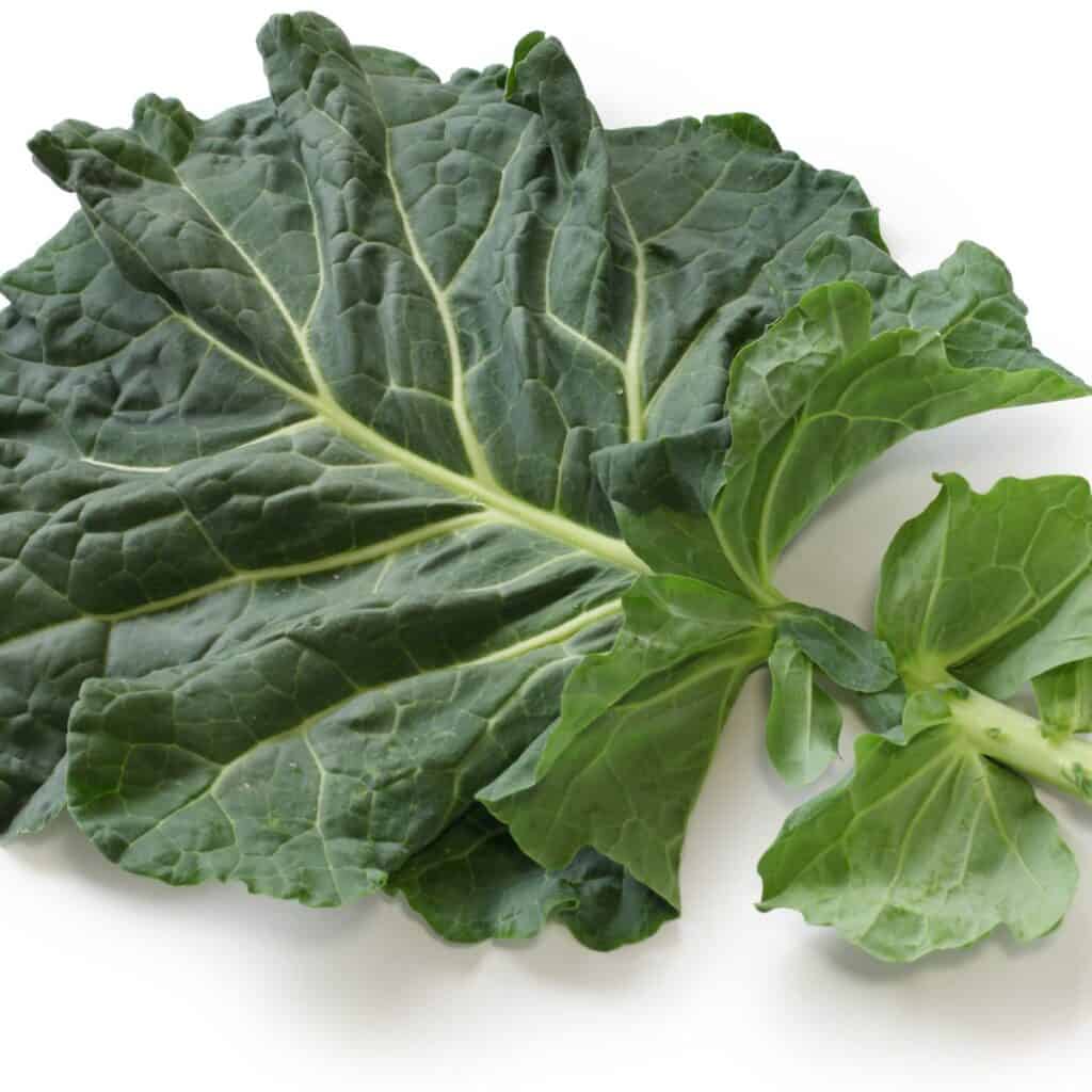 What Does Kale Taste Like? Plus Tasty Kale Recipes - Simple And Savory